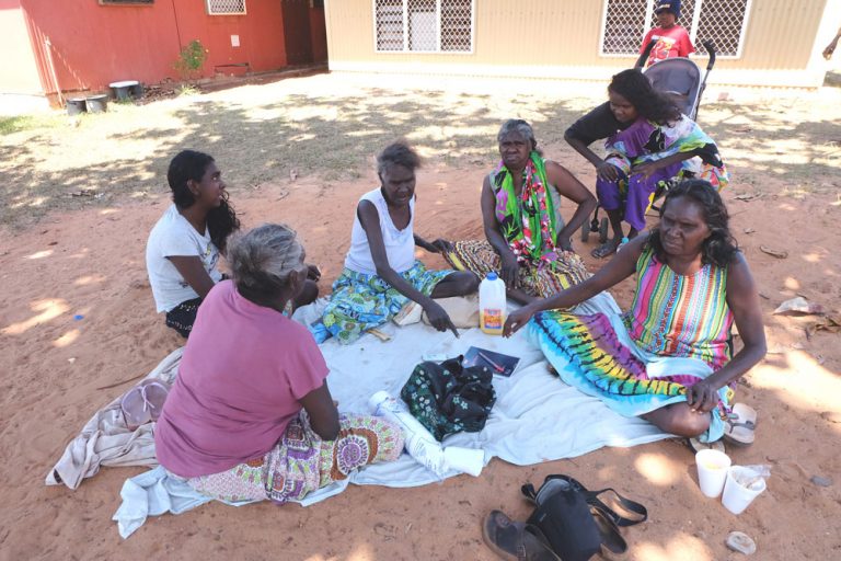 Indigenous Researchers Initiative – Indigenous Knowledge, Language and ...