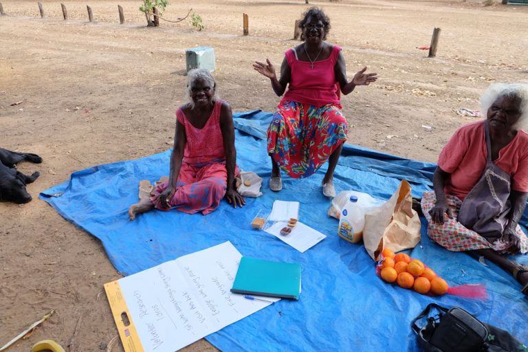 Indigenous Researchers Initiative – Indigenous Knowledge, Language and ...