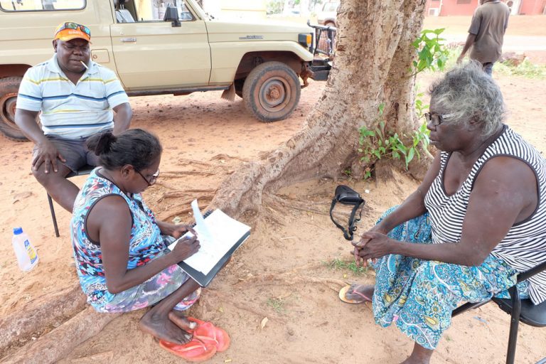 Indigenous Researchers Initiative – Indigenous Knowledge, Language and ...