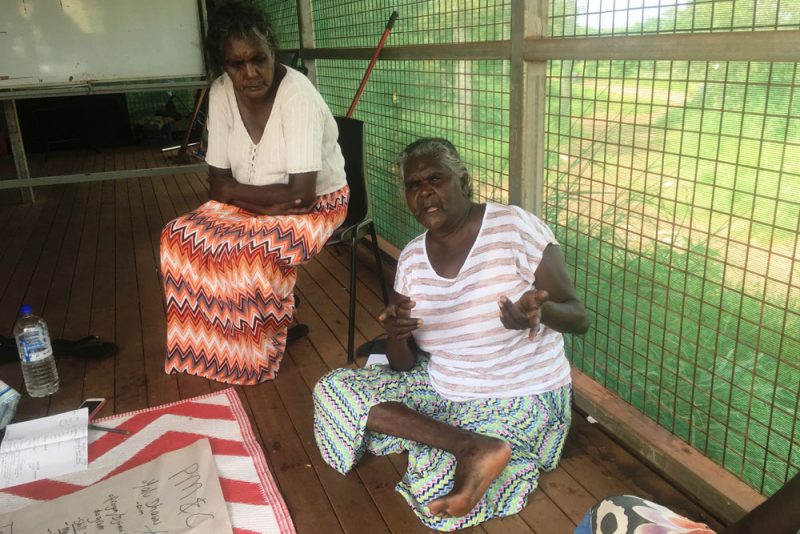 Indigenous Researchers Initiative – Indigenous Knowledge, Language and ...